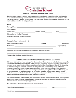 Fillable Online This form grants temporary authority to a designated ...