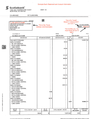 Fillable Online Example Bank Statement and Account Information Fax ...