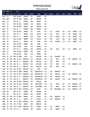 Fillable Online SYSTEM FLIGHT SCHEDULE Fax Email Print - pdfFiller