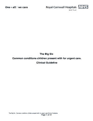 Fillable Online The Big Six Fax Email Print - pdfFiller