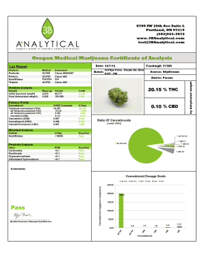 ex parte Doc Template | pdfFiller