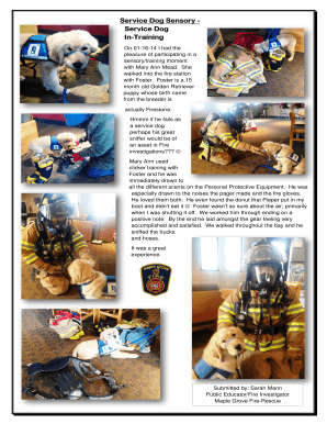 Fillable Online Service Dog Sensory Service Dog Fax Email Print - pdfFiller