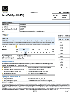 Fillable Online - SAMPLE REPORT - Fax Email Print - pdfFiller