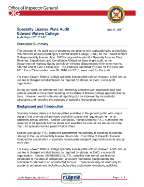 Fillable Online Audit Report 201617-27 Fax Email Print - pdfFiller