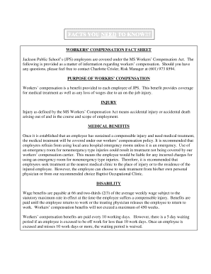 Fillable Online WORKERS COMPENSATION FACT SHEET PURPOSE OF WORKRS ...