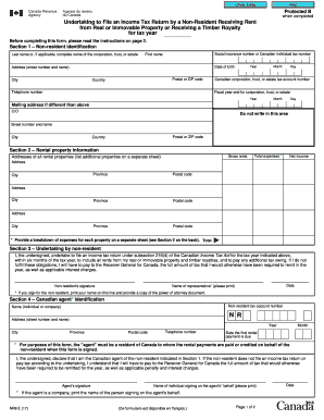 Fillable Online Undertaking to File an Income Tax Return by a Non ...