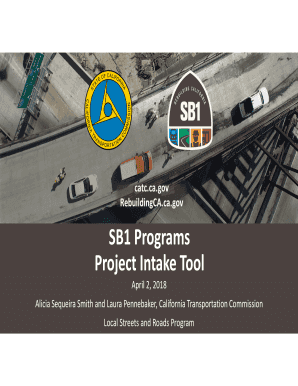 Fillable Online SB1 Programs Project Intake Tool Fax Email Print ...