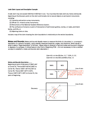 Fillable Online SUN CITY GRAND COMMUNITY ASSOCIATION, INC. Report Form ...