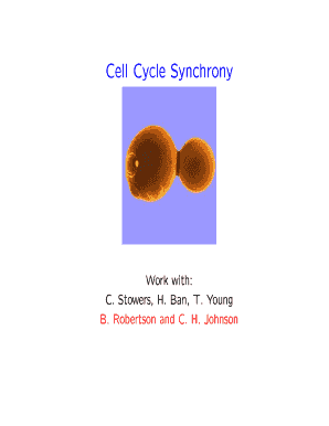 C384 form: Fill out & sign online | DocHub