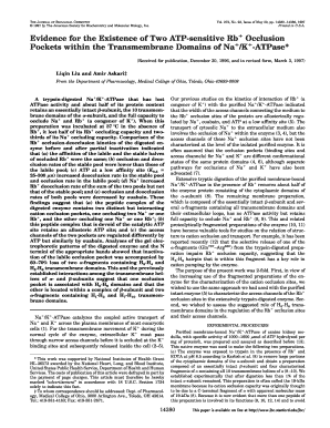 Forma 6096 - Fill Online, Printable, Fillable, Blank | pdfFiller