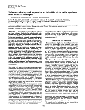 Nyeis Login - Fill Online, Printable, Fillable, Blank | pdfFiller