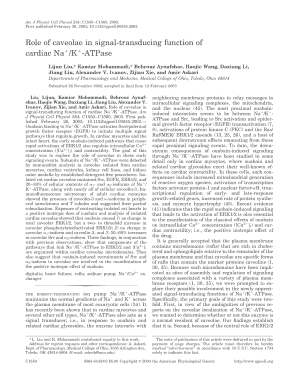 Fillable Online sl capital partners form Fax Email Print - pdfFiller