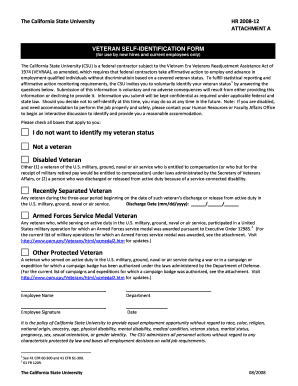 Fillable Online sjsu Veteran Self Identification Form - sjsu Fax Email ...