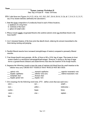 Fillable Online cameron Name Human Anatomy Worksheet II Due Fax Email ...