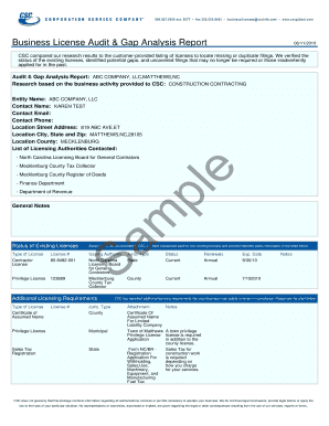Fillable Online Business License Audit & Gap Analysis Report ...