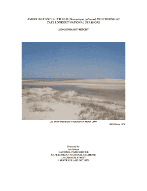 Fillable Online nps 2000 American Oystercatcher Monitoring - National ...