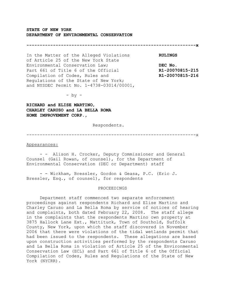 Ricahrd and Elise Martino - New York State Department of - dec ny: Fill ...