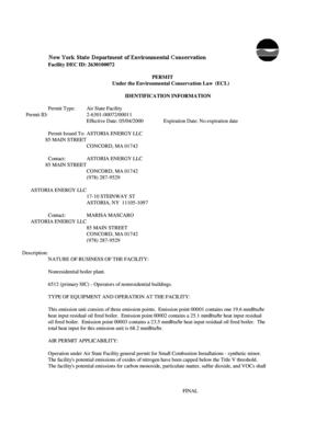 Fillable Online dec ny Facility DEC ID: 2630100072 PERMIT Under the ...