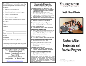 Fillable Online web ysu Brochure - YSU - Youngstown State University ...