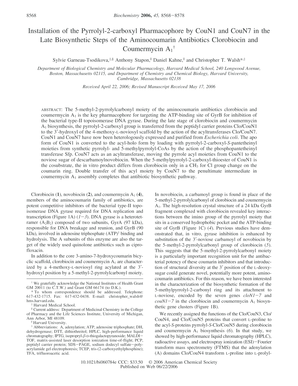 Fillable Online Texas Motor Vehicle Power of Attorney (Form VTR-271 ...