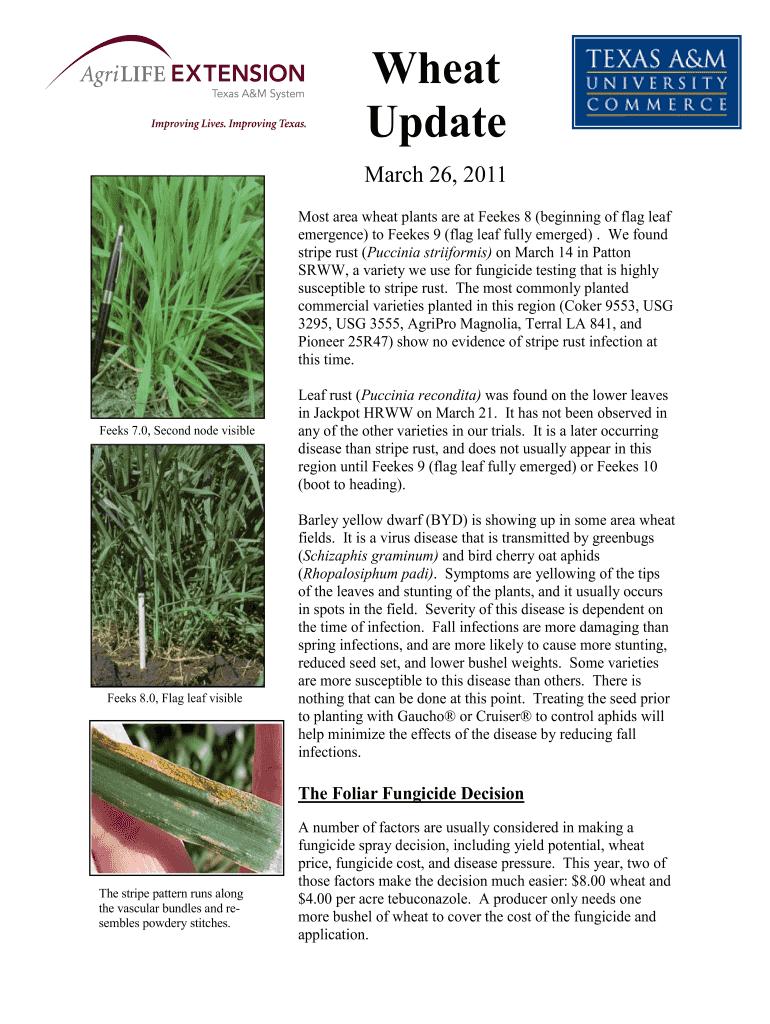 Feekes - Fill Online, Printable, Fillable, Blank | pdfFiller