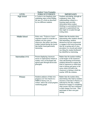 Fillable Online wce wwu Student Voice Examples LEVEL FORM OF EVIDENCE ...