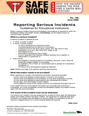 Fillable Online Reporting Serious Incidents Fax Email Print - pdfFiller