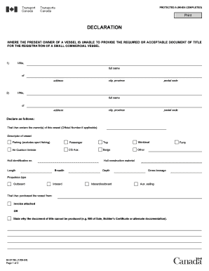 Fillable Online DECLARATION - Transports Canada Fax Email Print - pdfFiller