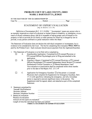 Fillable Online Statement of Expert Evaluation - Lake County Fax Email ...
