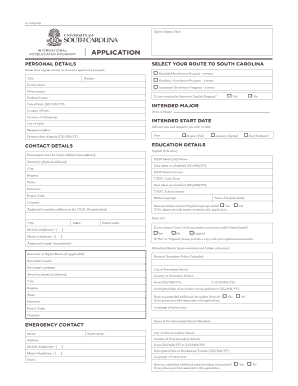 Fillable Online uofsc org%2fhubfs%2fUSC_IAP_APPLICATION_4 PERSONAL ...