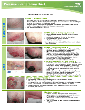 Fillable Online Pressure ulcer grading chart Fax Email Print - pdfFiller