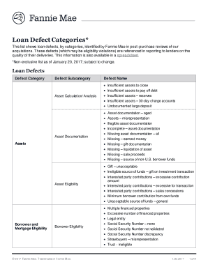 Fillable Online Loan Defect Categories* Fax Email Print - pdfFiller