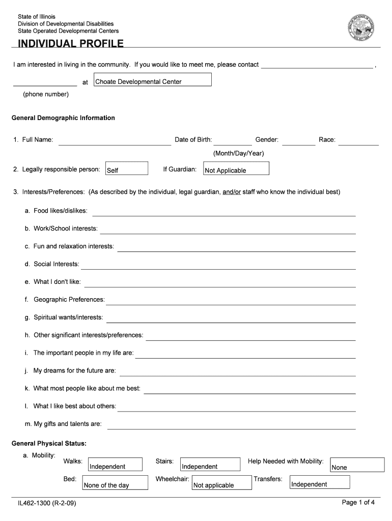 Fillable Online dhs state il INDIVIDUAL PROFILE - Illinois Department ...