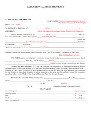 Fillable Online EXECUTION AGAINST PROPERTY - Horry County Fax Email ...