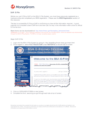Fillable Online Section 8: SAR E-File Fax Email Print - pdfFiller