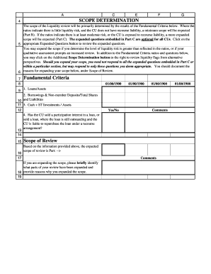 Fillable Online SCOPE DETERMINATION Fax Email Print - pdfFiller