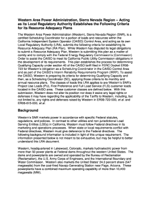 Fillable Online Current Local Resource Adequacy Plan - wapagov Fax ...