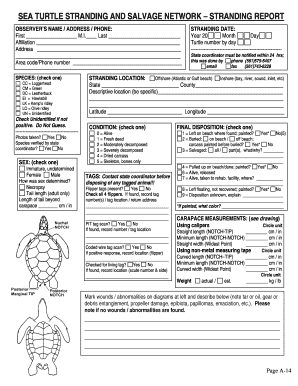Fillable Online SEA TURTLE STRANDING AND SALVAGE NETWORK STRANDING ...