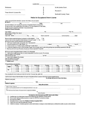What is a texas drivers license audit number - househooli