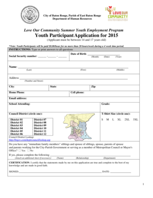 Fillable Online Youth Participant Application - brgovcom Fax Email Print - pdfFiller