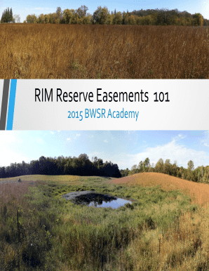 Fillable Online RIM Reserve Easements 101 Fax Email Print - pdfFiller