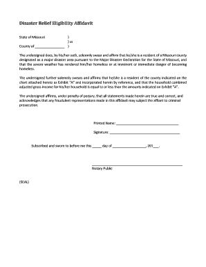 Fillable Online Disaster Relief Eligibility Affidavit - mhdccom Fax ...