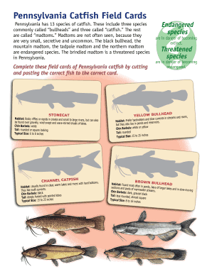 Fillable Online fish state pa Pennsylvania Catfish Field Cards - fish ...