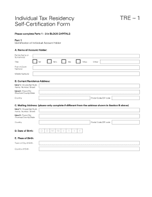 Fillable Online Instructions CRS Individual SelfCertification Form ...
