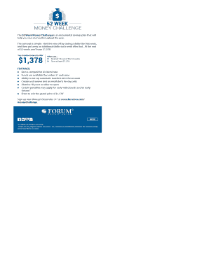 Fillable Online MONEY CHALLENGE Fax Email Print - pdfFiller