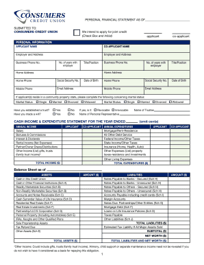 Fillable Online Personal Financial Statement - Consumers Credit Union ...
