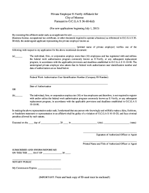 Fillable Online E-Verify Affidavit Form Fax Email Print - pdfFiller