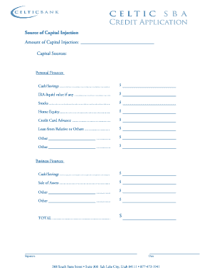 Fillable Online Source of Capital Injection Fax Email Print - pdfFiller