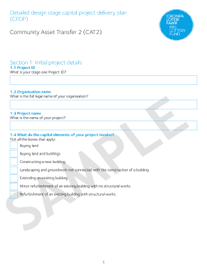 Fillable Online Detailed design stage capital project delivery plan ...
