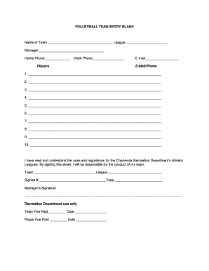 Fillable Online cityofcharlevoix VOLLEYBALL TEAM ENTRY BLANK ...